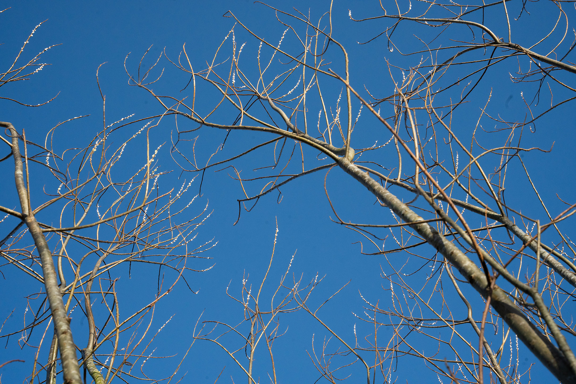 WillowWarm Our Vision